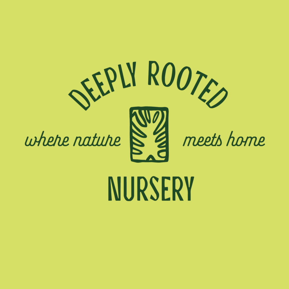 Deeply Rooted - Studio Liquorice